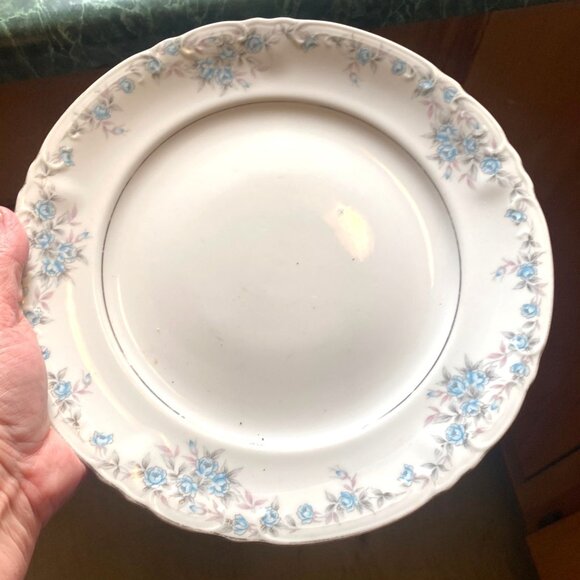 Norleans China | Dining | Vintage Norleans China Japan First Love ...